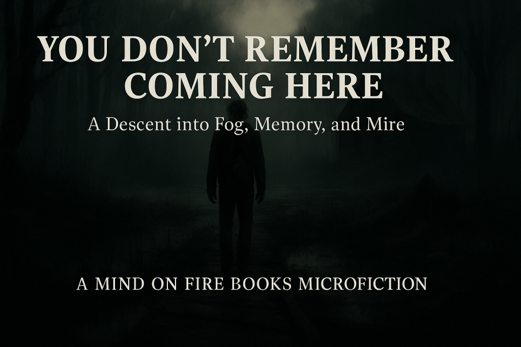 You Don’t Remember Coming Here: A Tale of Dread - Mind on Fire Books